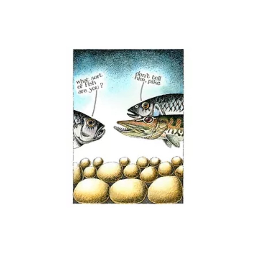 SIMON DREW CARD - DON'T TELL HIM PIKE